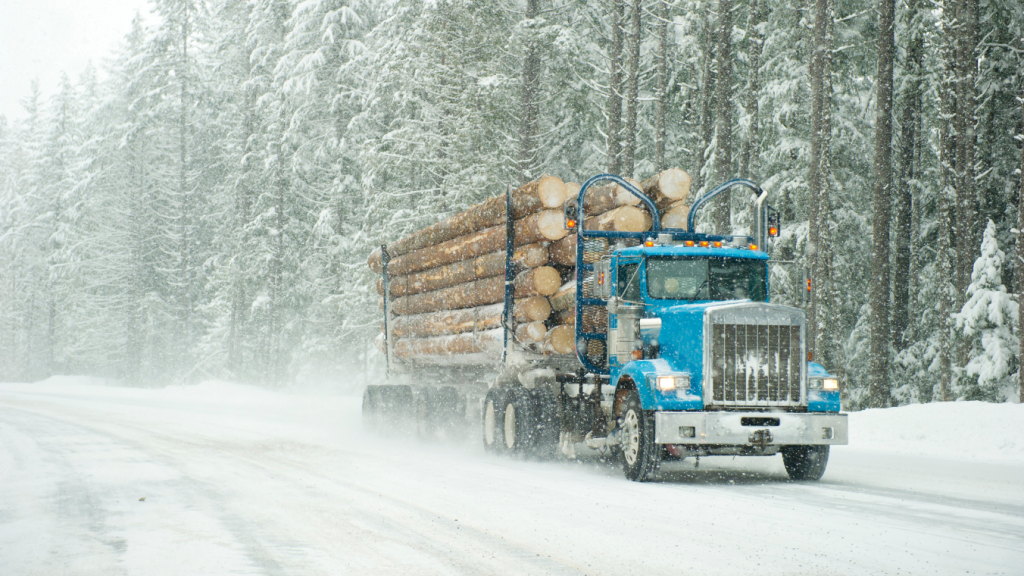 Transport companies: key players